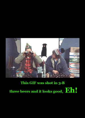 Eh GIF - Find on GIFER