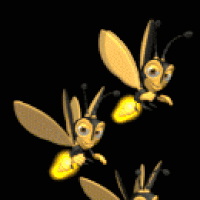 Firefly GIF - Find on GIFER