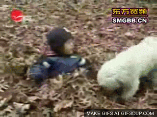 Rivalry GIF - Find on GIFER