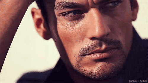GIF scott thorson steven soderbergh matt damon - GIF animé sur GIFER