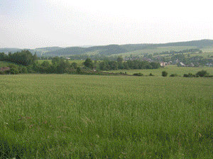 Camping GIF - Find on GIFER