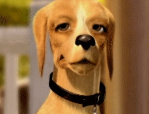 GIF common - animated GIF on GIFER