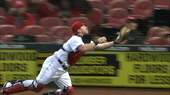 Sports baseball mlb GIF - Find on GIFER