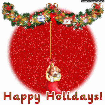 Holidays GIF - Find on GIFER