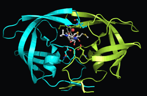 Hiv GIF - Find on GIFER