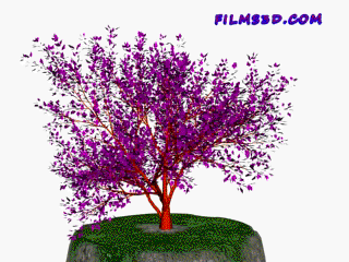 Magnolia GIF - Find on GIFER