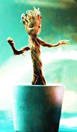 Groot GIF - Find on GIFER