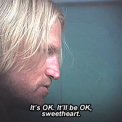 Mockingjay GIF - Find on GIFER