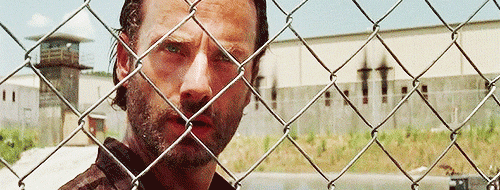 GIF head twist - animated GIF on GIFER