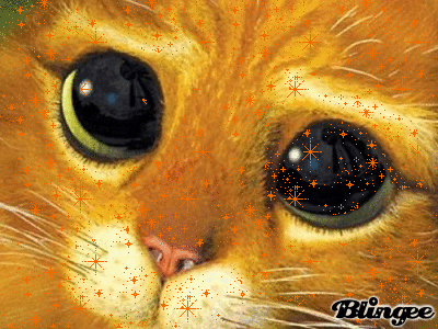GIF fofo - animated GIF on GIFER