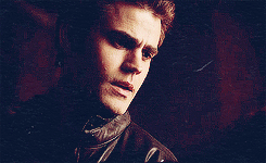 Steferine GIF - Find on GIFER