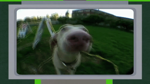 Breakdown GIF - Find on GIFER