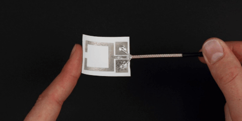 GIF flexible - animated GIF on GIFER