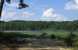 Michigan GIF - Encontrar em GIFER