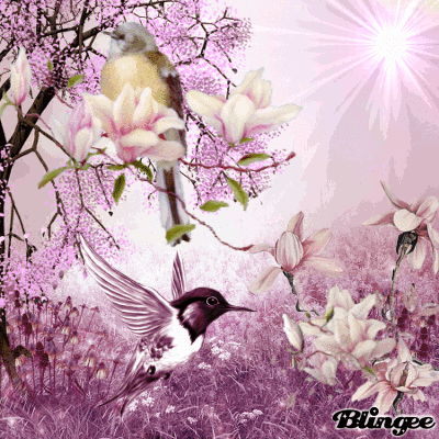 Magnolia GIF - Find on GIFER