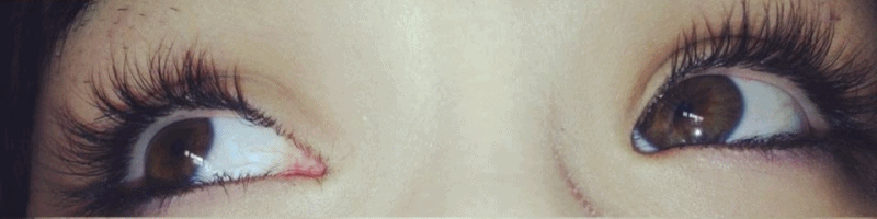 GIF eyes eyelashes pretty eyes - animated GIF on GIFER