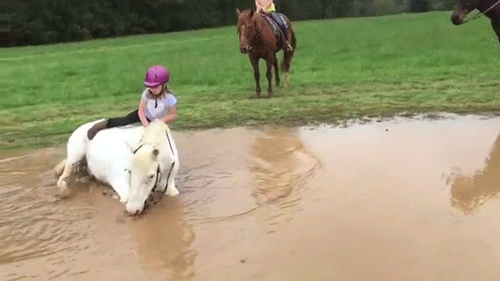 Mud GIF - Find on GIFER