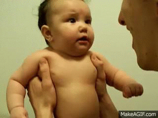 Semester GIF - Find on GIFER