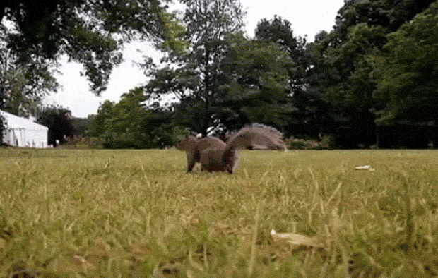 Why Americans love the Great British Bake Off [BBC NEWS] | Page 2 ...