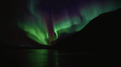 Aurora borealis god skole for alle GIF - Find on GIFER