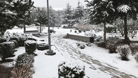 Loop snow motion GIF - Find on GIFER
