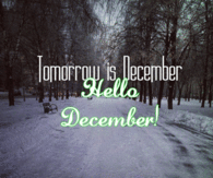 December GIF - Find on GIFER