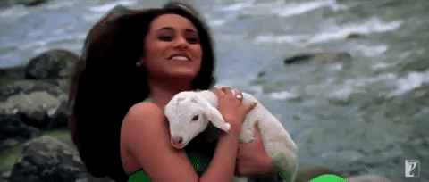 Bollywood india rani mukerji GIF - Find on GIFER
