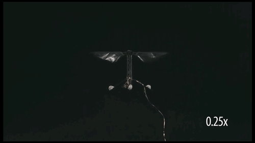 Science robots bees GIF - Find on GIFER