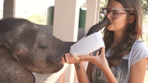 Feeding GIF - Find on GIFER