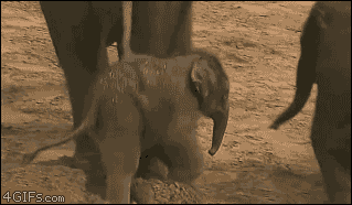 GIF crowd jimbo kern gathering - animated GIF on GIFER