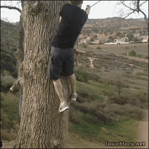 Trust Fall Fail Gif Contrastive Learning SimCLR And BYOL (With Code