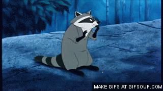 Meeko GIF - Find on GIFER