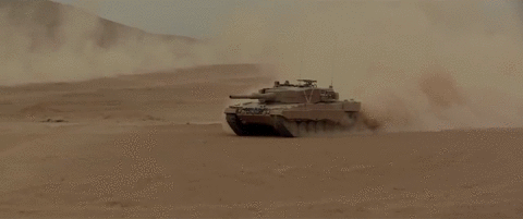 Leopard GIF - Find on GIFER