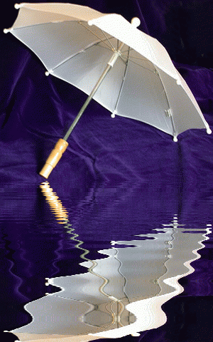 Reflection GIF - Find on GIFER