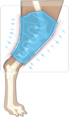 Compression GIF - Find on GIFER