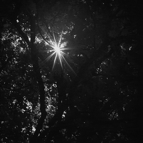 GIF the roots - animated GIF on GIFER