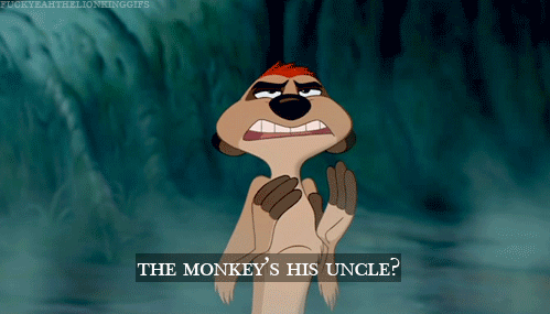 Timon point GIF - Find on GIFER