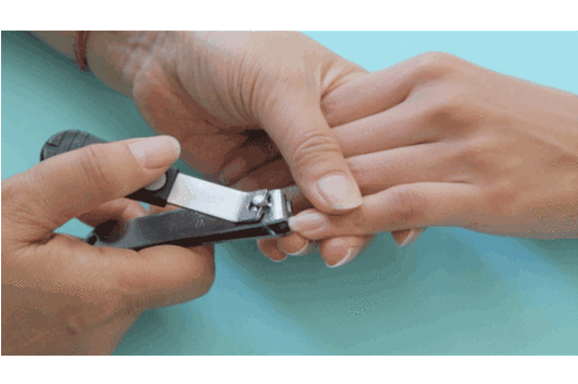 Nails GIF - Find on GIFER