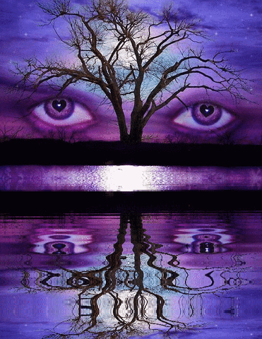 Cameron GIF - Find on GIFER