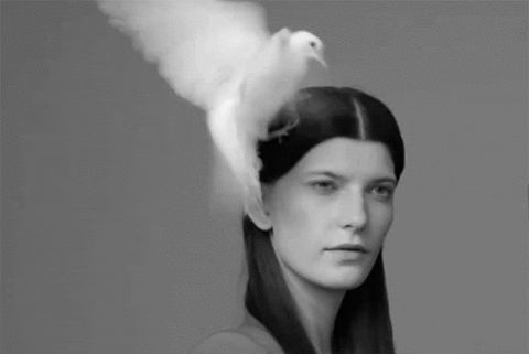 Damnit best friend tag GIF - Find on GIFER
