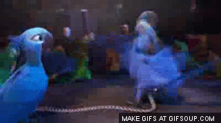 Rio GIF - Find on GIFER