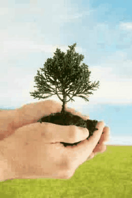 GIF collage - animated GIF on GIFER - by Ianbor