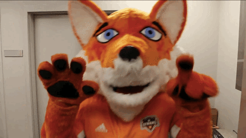 5 five fox GIF - Find on GIFER