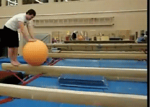 Balance GIF - Find on GIFER