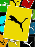 Puma GIF - Find on GIFER