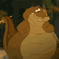 Gator GIF - Find on GIFER