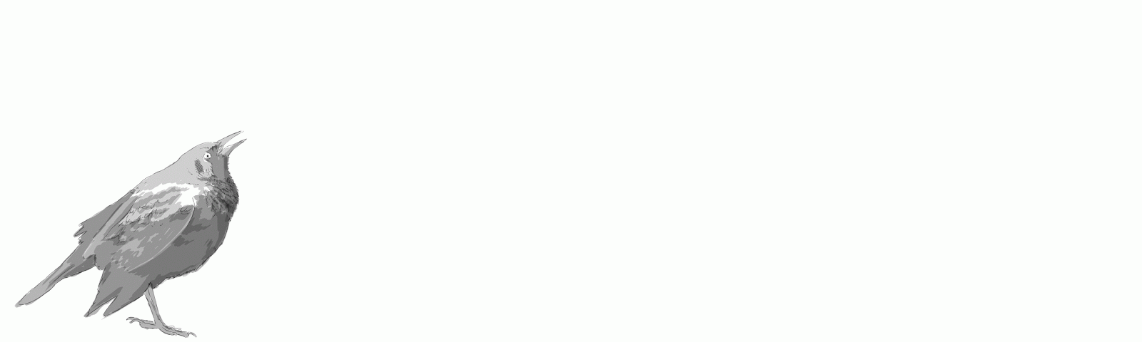 GIF birds - animated GIF on GIFER