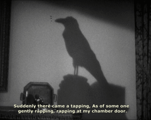 GIF raven - animated GIF on GIFER