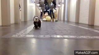 Hallway GIF - Find on GIFER