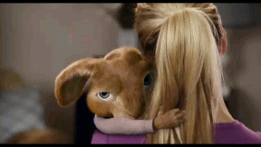 GIF hop - animated GIF on GIFER